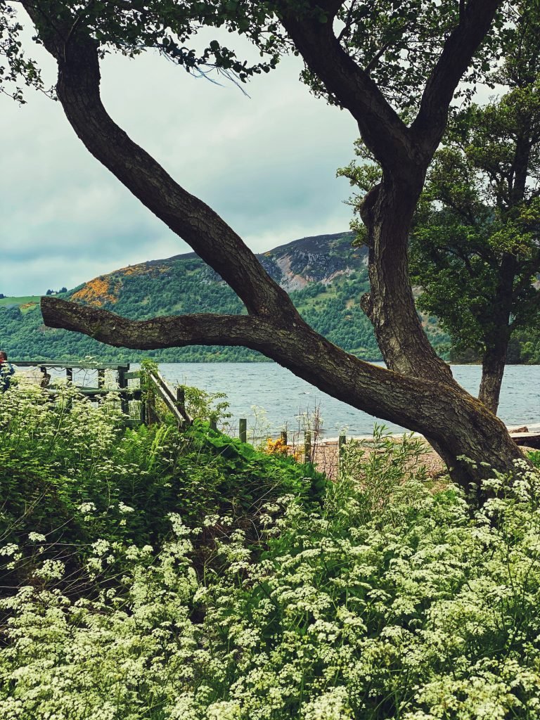 The Dores Inn: Lunch at Loch Ness - The Aye Life